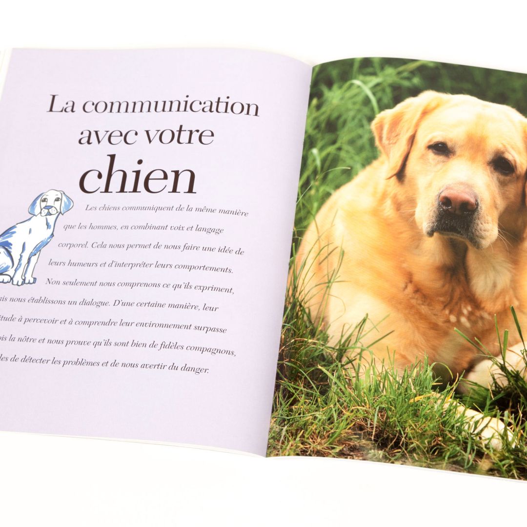 Que pense votre chien ? • Nature & Découvertes Suisse
