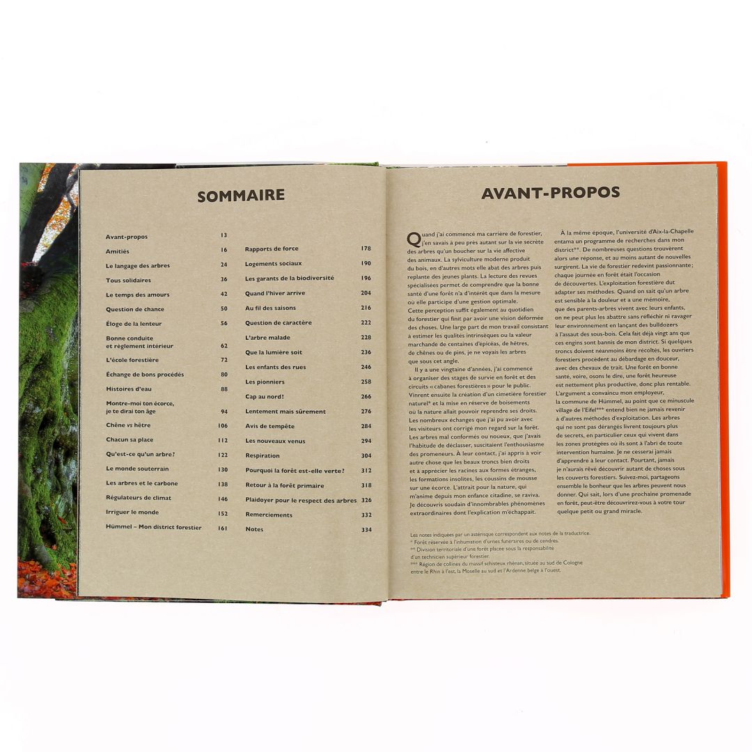 La vie secrète des arbres illustrée • Nature & Découvertes Suisse