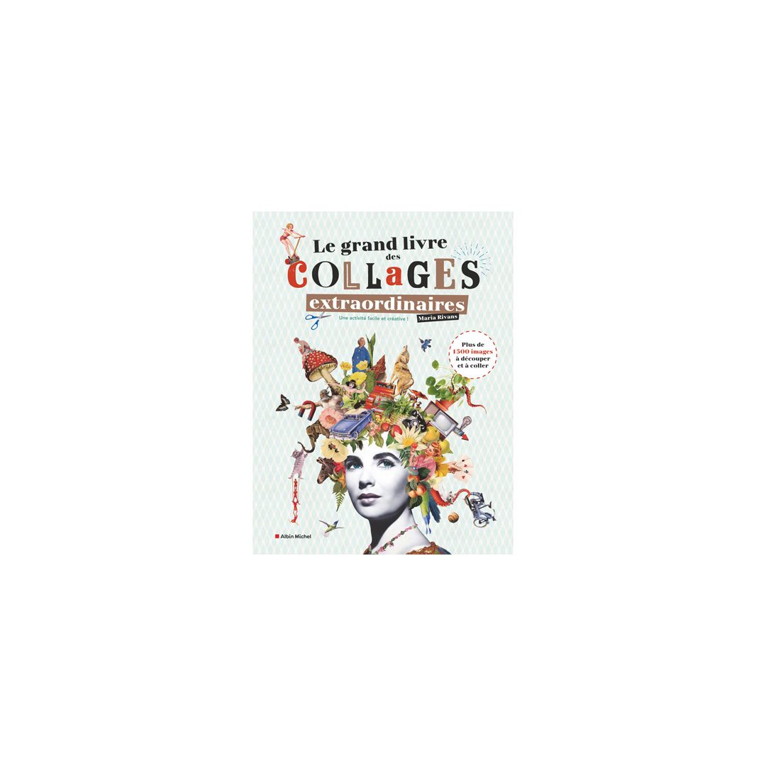 Grand livre des collages extraordinaires • Nature & Découvertes Suisse