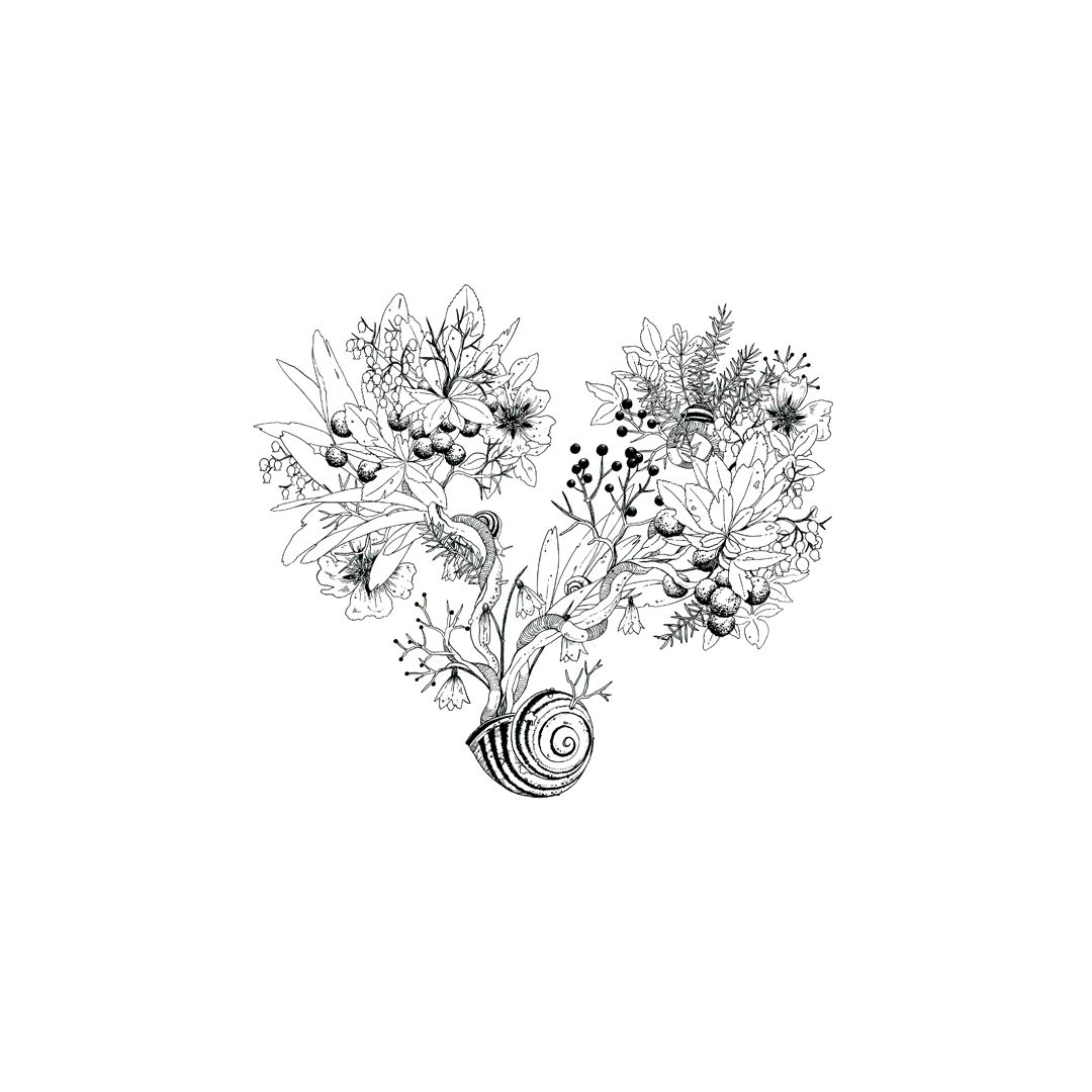 Carnet de coloriage animaux des bois • Nature & Découvertes Suisse