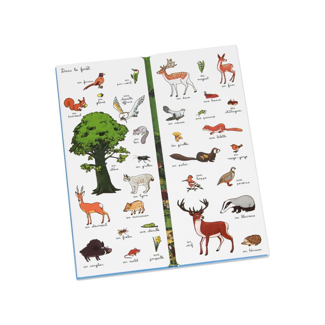 Cherche et trouve dans la nature • Nature & Découvertes Suisse