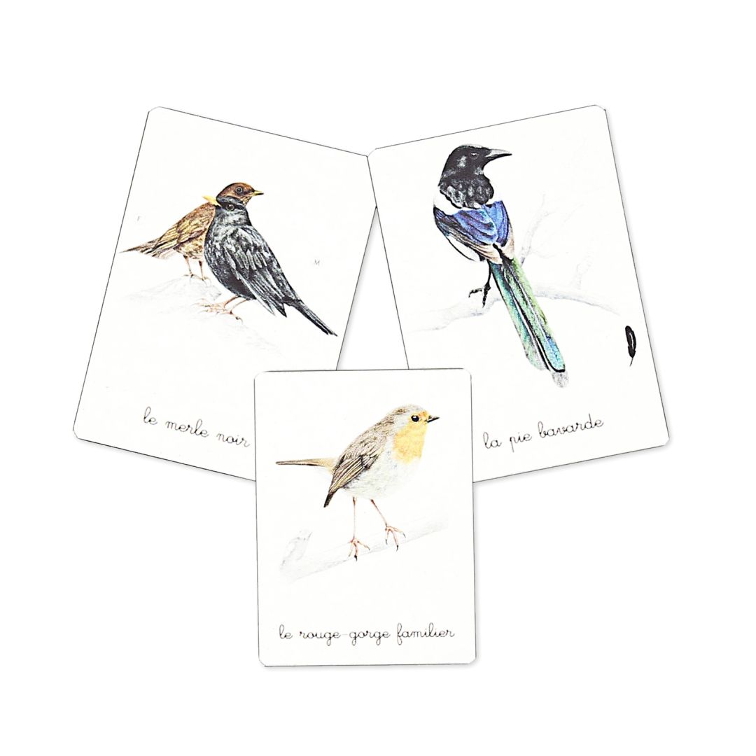 Mon coffret Montessori des oiseaux • Nature & Découvertes Suisse