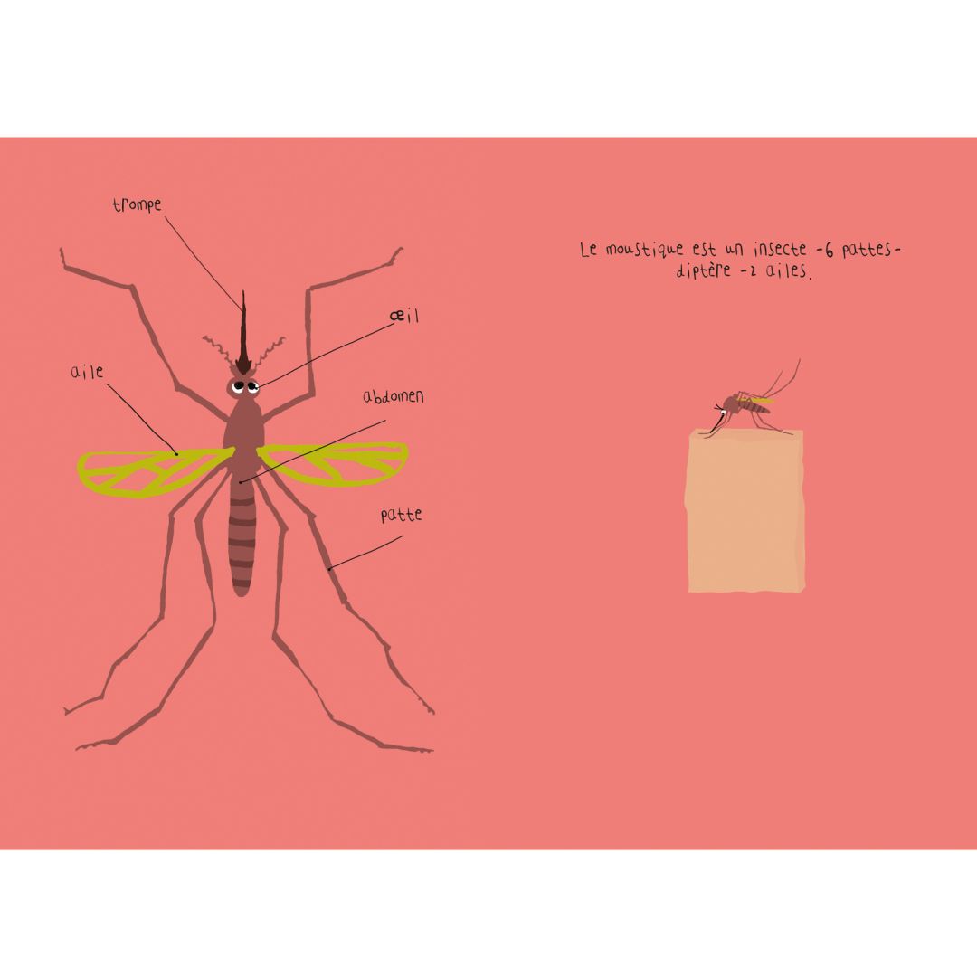 Le moustique • Nature & Découvertes Suisse