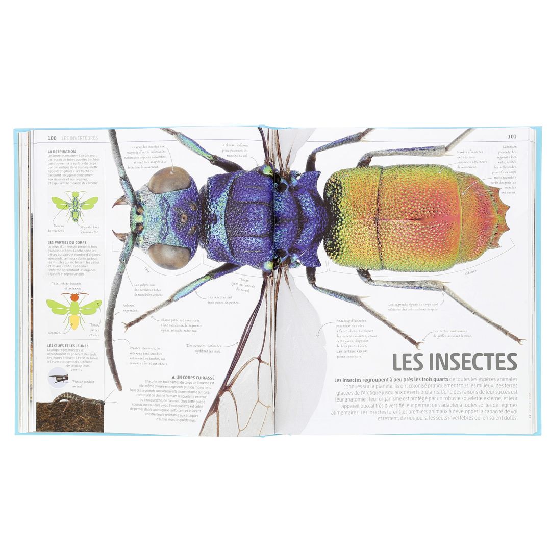 Grande Encyclopédie visuelle nature • Nature & Découvertes Suisse