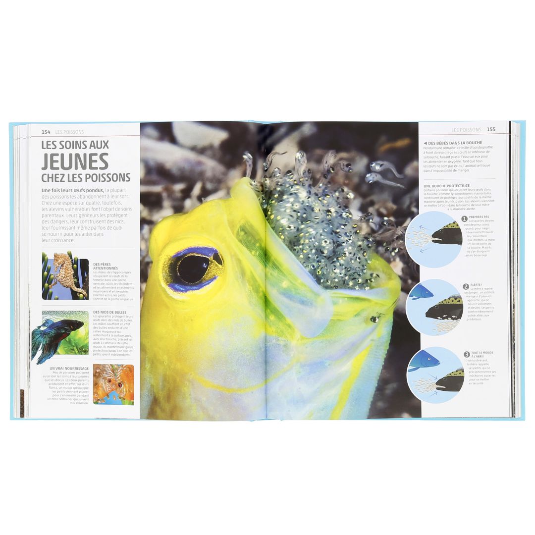 Grande Encyclopédie visuelle nature • Nature & Découvertes Suisse