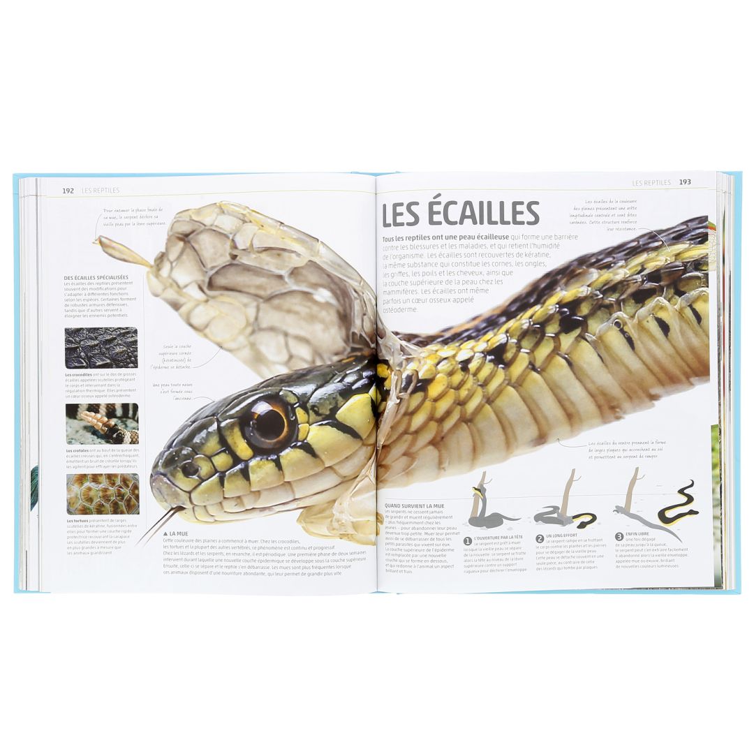 Grande Encyclopédie visuelle nature • Nature & Découvertes Suisse