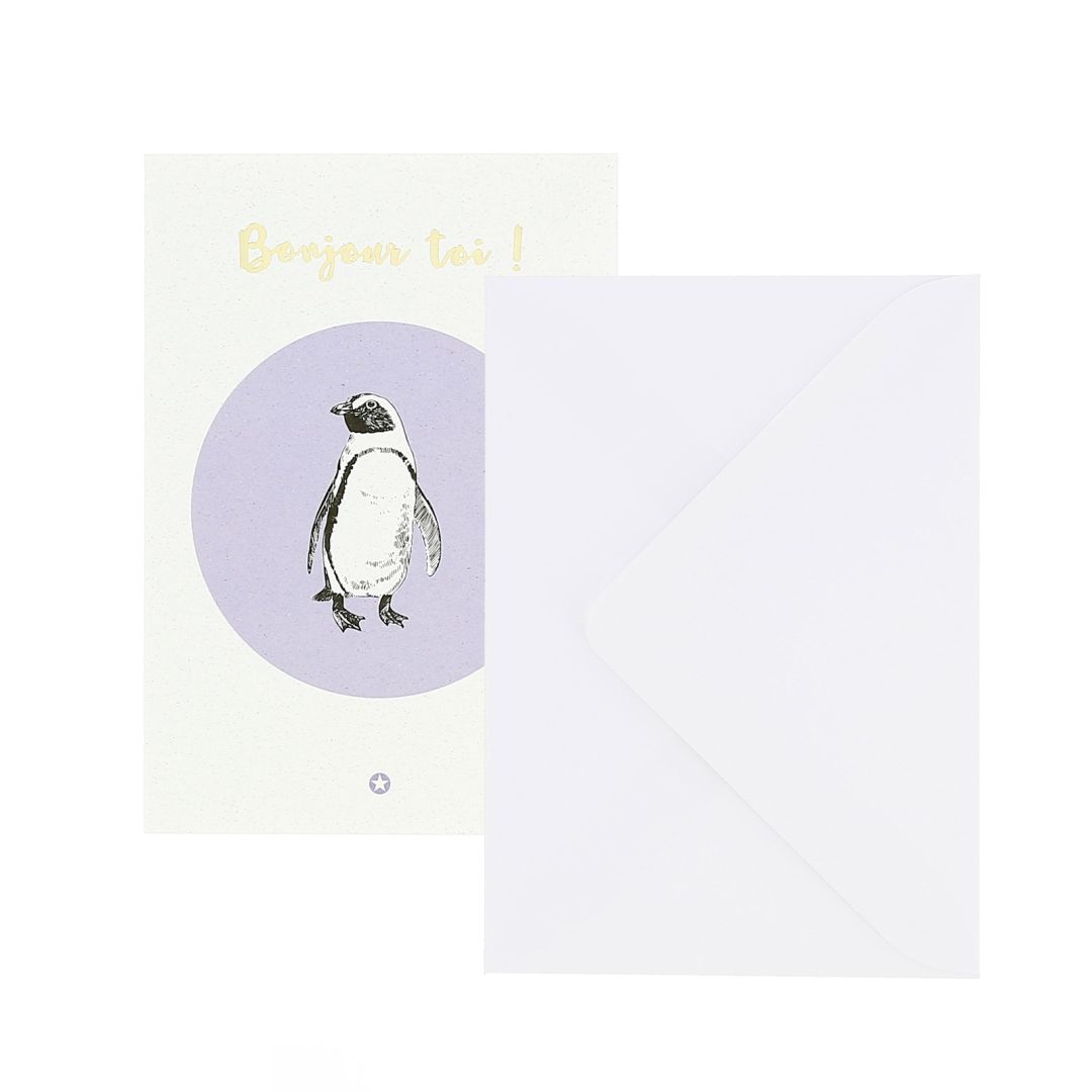 Carte Pingouin • Nature & Découvertes Suisse