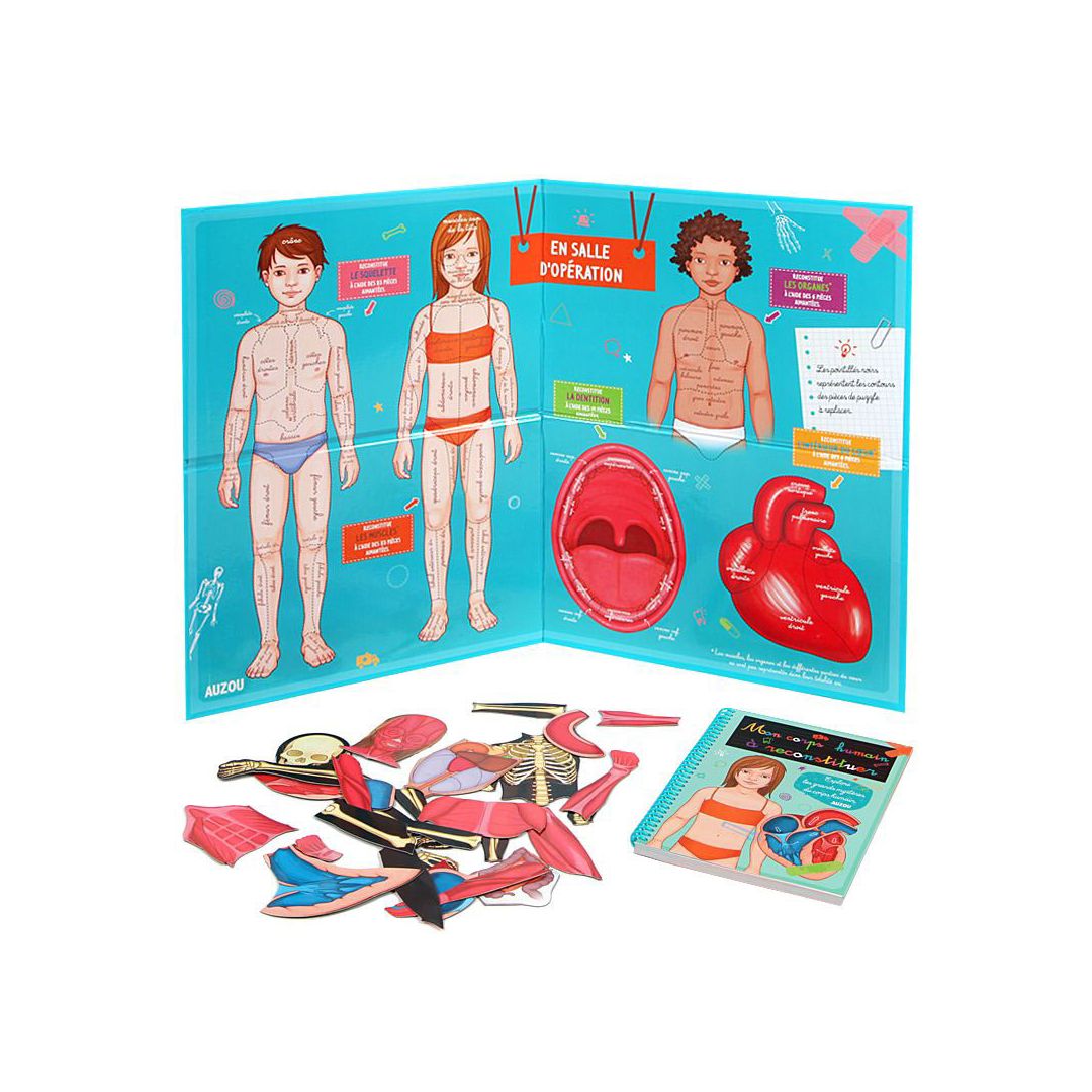 Mon Corps humain à reconstituer • Nature & Découvertes Suisse