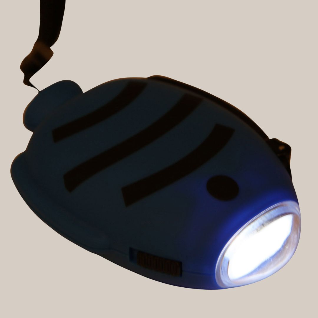 Torche dynamo poisson • Nature & Découvertes Suisse