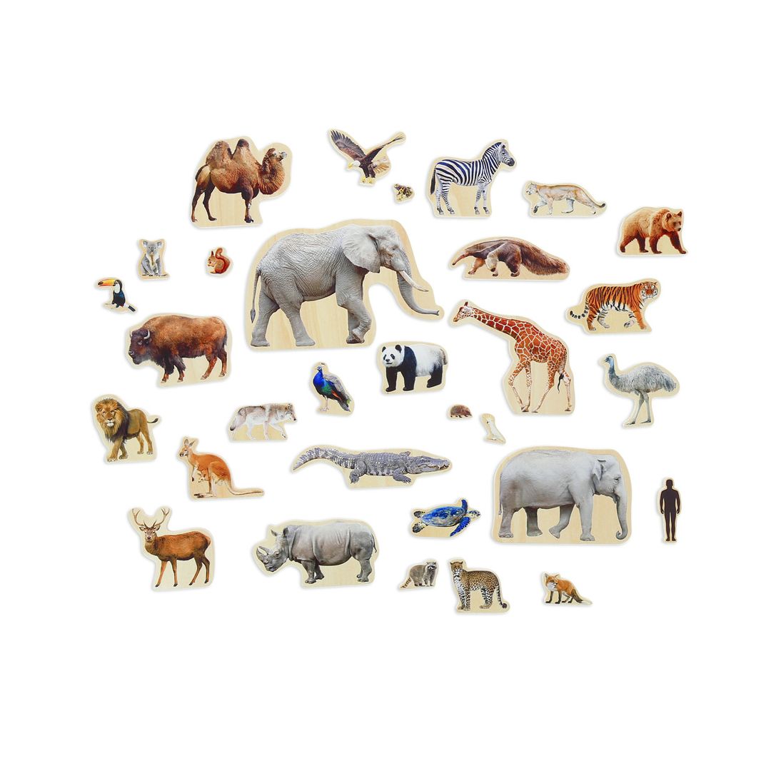 Coffret animaux des continents • Nature & Découvertes Suisse