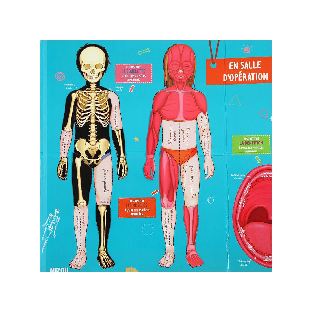 Mon Corps humain à reconstituer • Nature & Découvertes Suisse