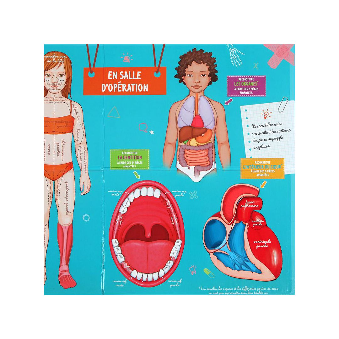 Mon Corps humain à reconstituer • Nature & Découvertes Suisse