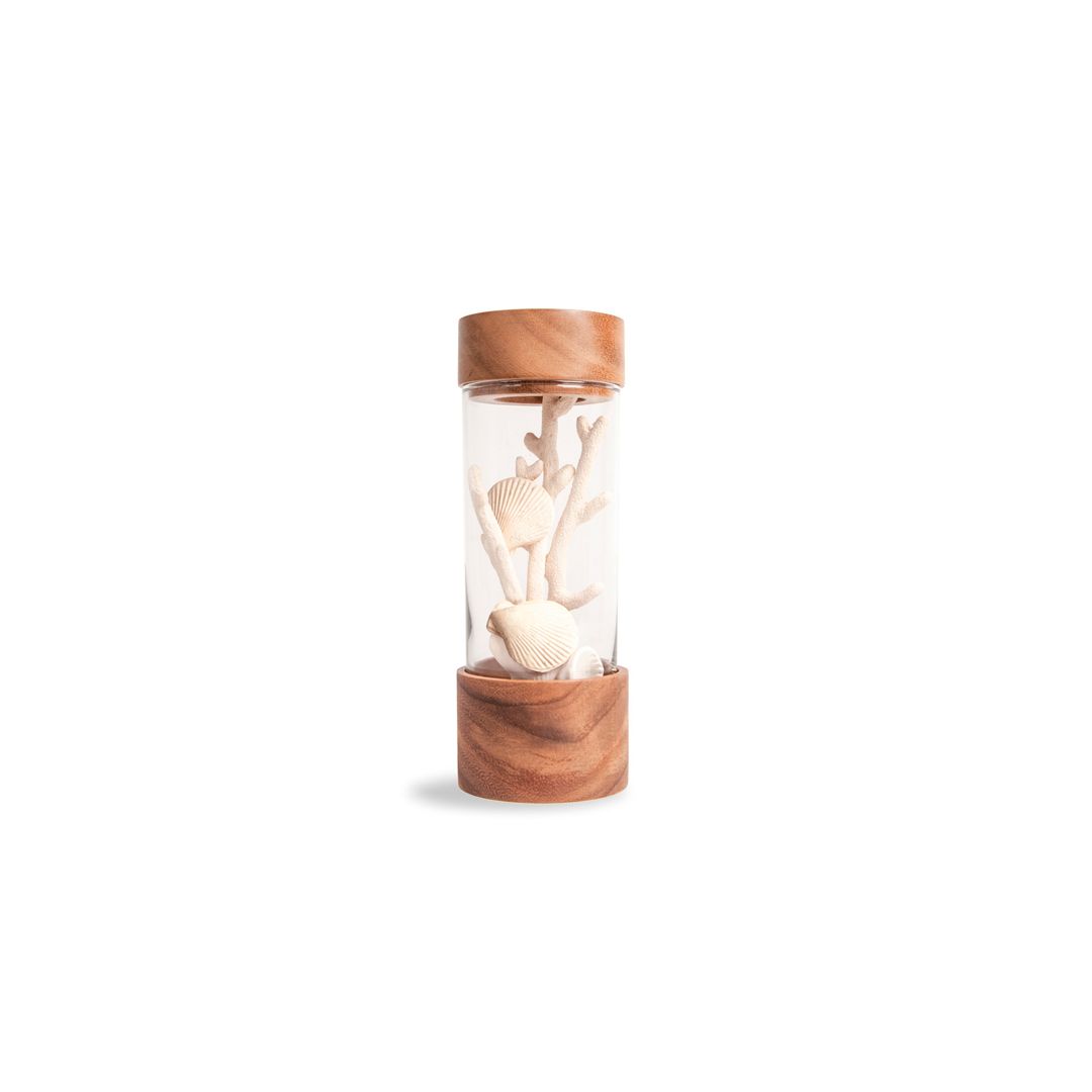 Coquillages pour 60151400 • Nature & Découvertes Suisse