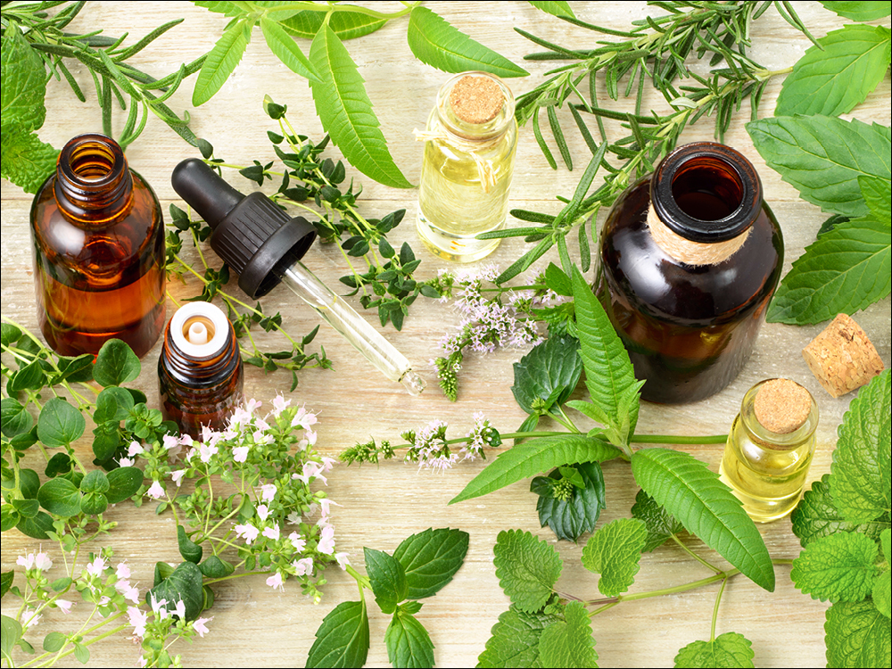 Fabrication de remèdes naturels • Nature & Découvertes Suisse